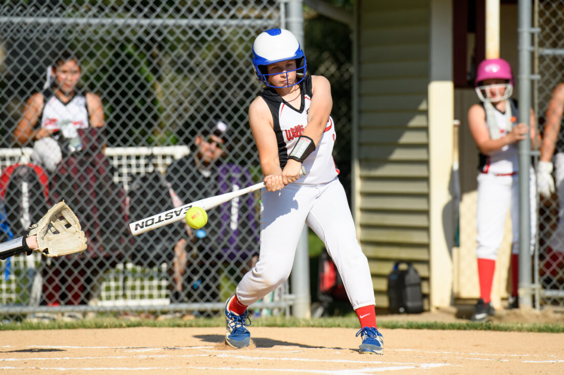 Montoya, Fletcher help Williamsport Area 9-11 softball win district ...